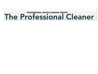 THE PROFESSIONAL CLEANER - Project Photos & Reviews - Queen Creek, AZ ...