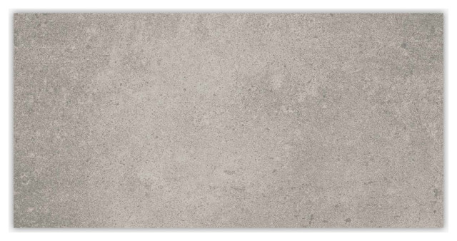 Ark Silver Matte 12x24 Porcelain Tile - Modern - Wall And Floor Tile ...