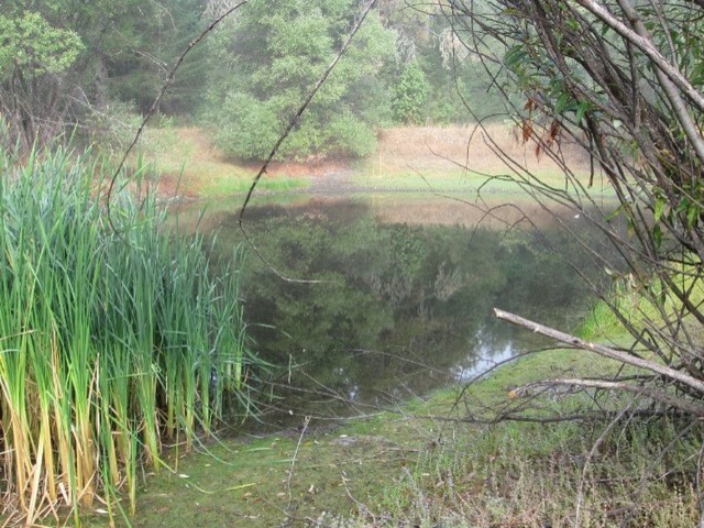 Heat Wave (little Poem)