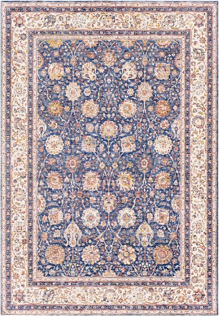 Machine Woven Mahal Area Rug MHL-2302, 2'x3' - Traditional - Area Rugs ...
