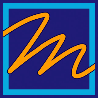 MERIDIAN TILE GROUP - Project Photos & Reviews - Phoenix, AZ US | Houzz