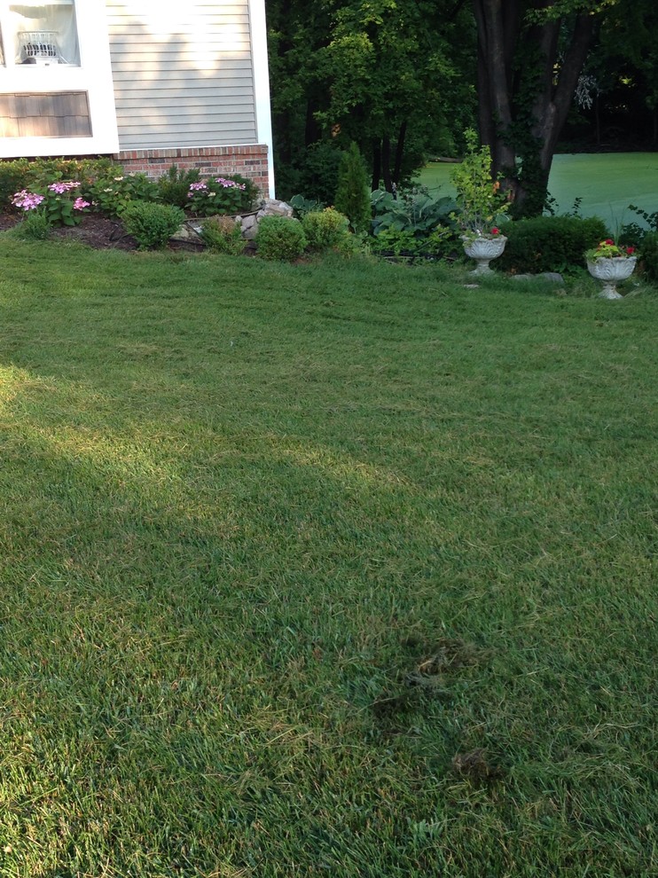 Landscaping the corner slope | Houzz Forum