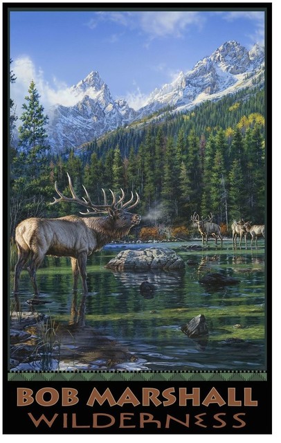 Darrell Bush the Bob Marshall Wilderness Montana Elk Art Print, 30"x45" - Contemporary - Fine ...