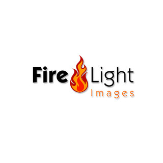FIRELIGHT IMAGES - Project Photos & Reviews - Tampa, FL US | Houzz
