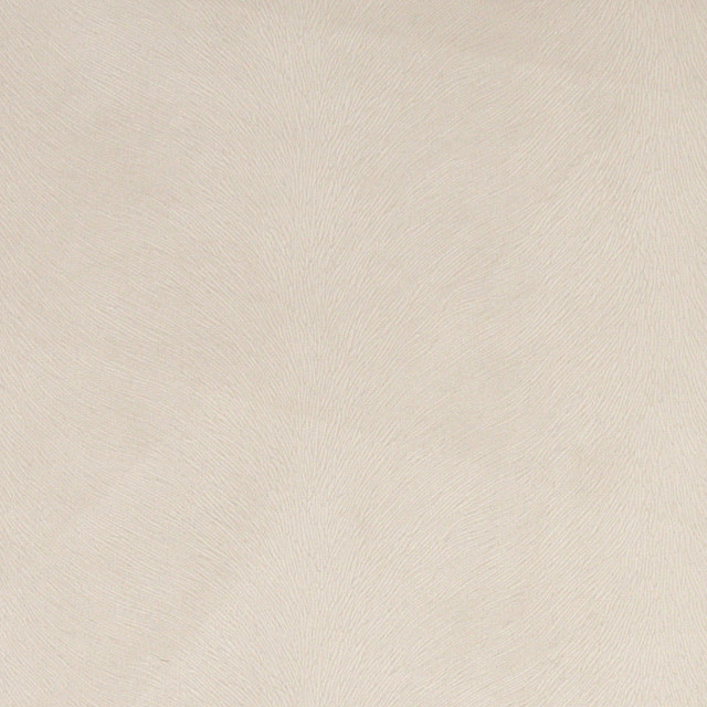 Off White Solid Soft Velvet Upholstery Fabric By The Yard, Sample - Contemporary - Upholstery ...