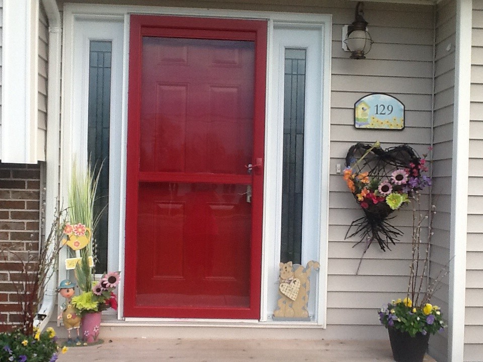 Re paint Storm Door?