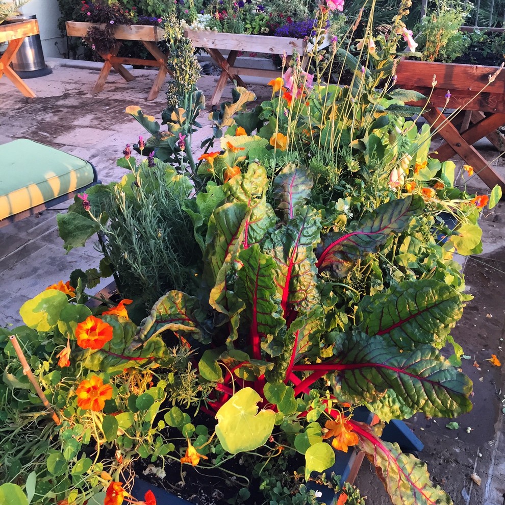 Check Out These Recipes for Delicious Themed Edible Gardens