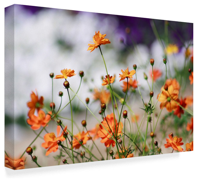 Incredi 'Garden Conversations' Canvas Art, 19"x12" - Farmhouse - Prints And Posters - by ...