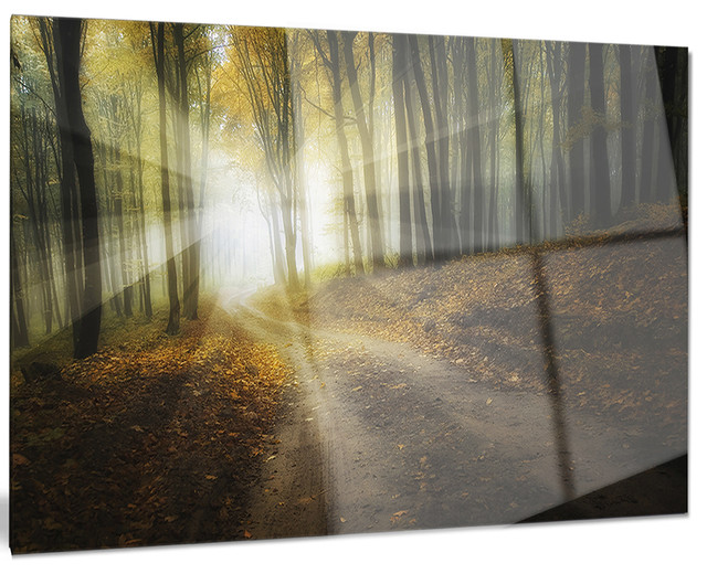 "Bright Sun Rays in Colorful Fall" Photo Glossy Metal Wall Art, 28"x12 ...