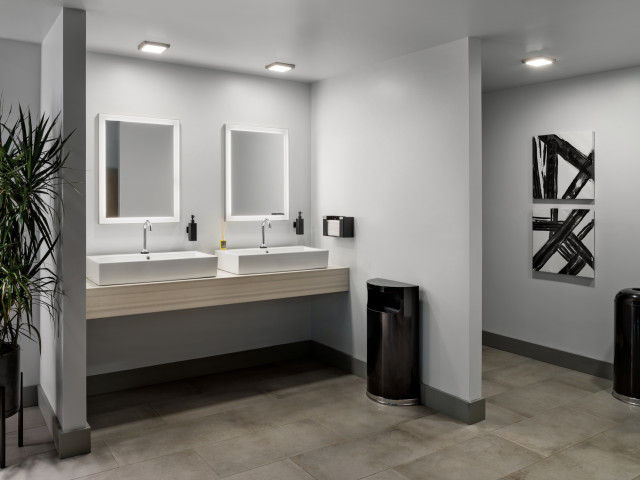 Ryame 31.5" Rectangular Matte Silver Mirror LED - Modern - Bathroom ...