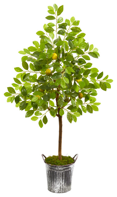 Nearly Natural 55 Lemon Artificial Tree in Terra Cotta Planter ...