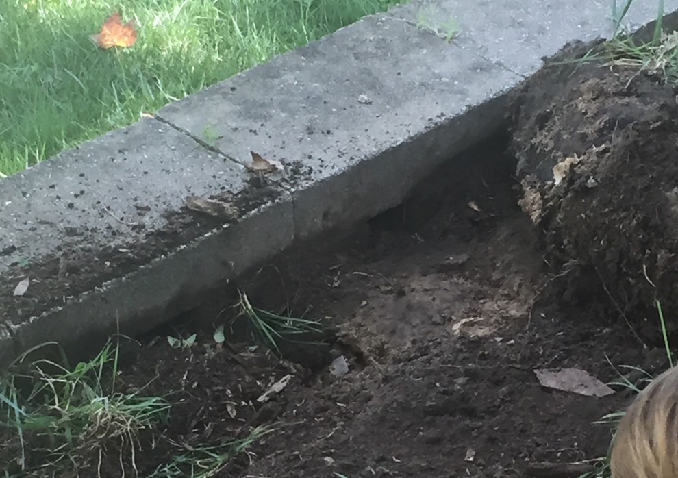 Retaining wall and netting