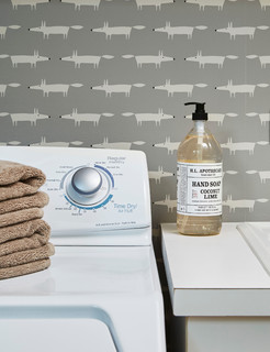 Modern Living in a Classic Home - Transitional - Chicago - by Jeannie ...