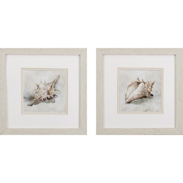 Seashell Textures Wall Art, 2-Piece Set - Beach Style - Prints And ...
