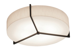 Apex Ceiling Light LED 18W - Transitional - Flush-mount Ceiling ...