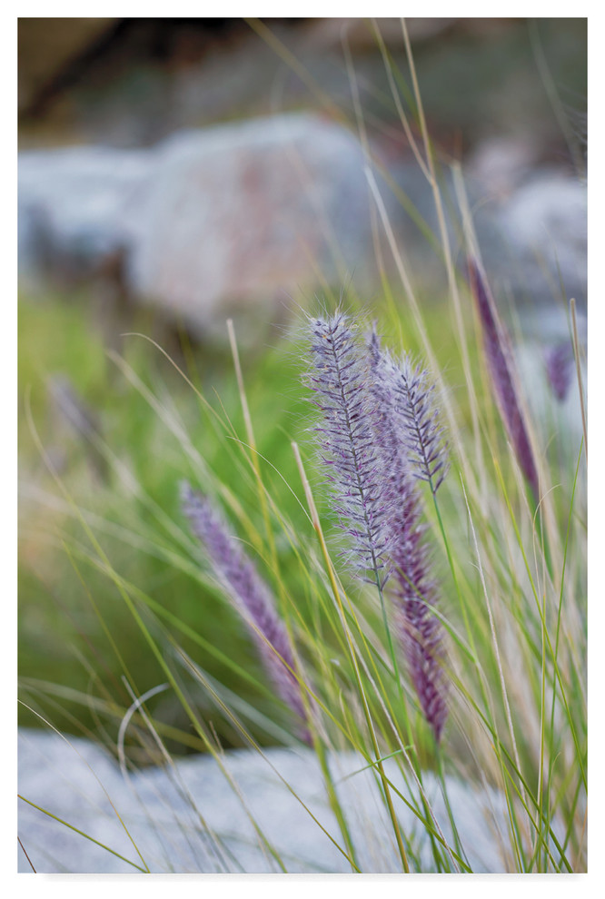 Janice Sullivan 'Purple Wild Grass I' Canvas Art, 32"x22 ...