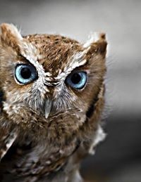 SKAY - Project Photos & Reviews - turkya, HI US | Houzz