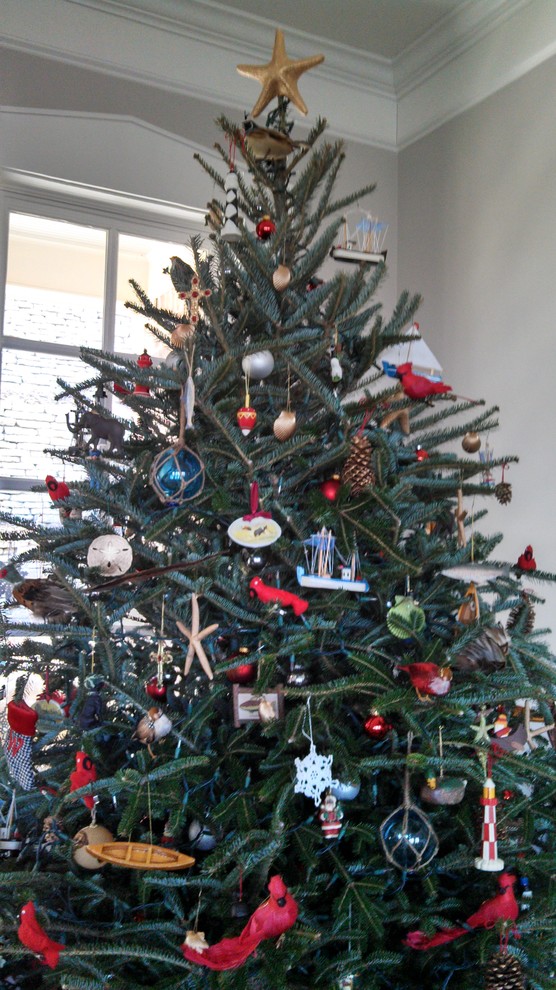 Real vs. Fake: How to Choose the Right Christmas Tree