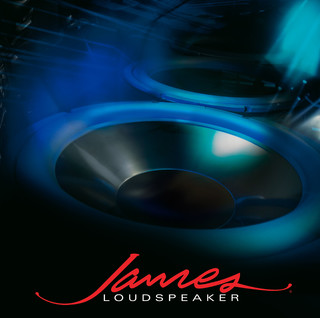 JAMES LOUDSPEAKER - Project Photos & Reviews - napa, CA US | Houzz