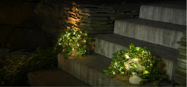 Set of 2 Ivy Vines With Fairy Lights - Contemporary - Garden Statues ...