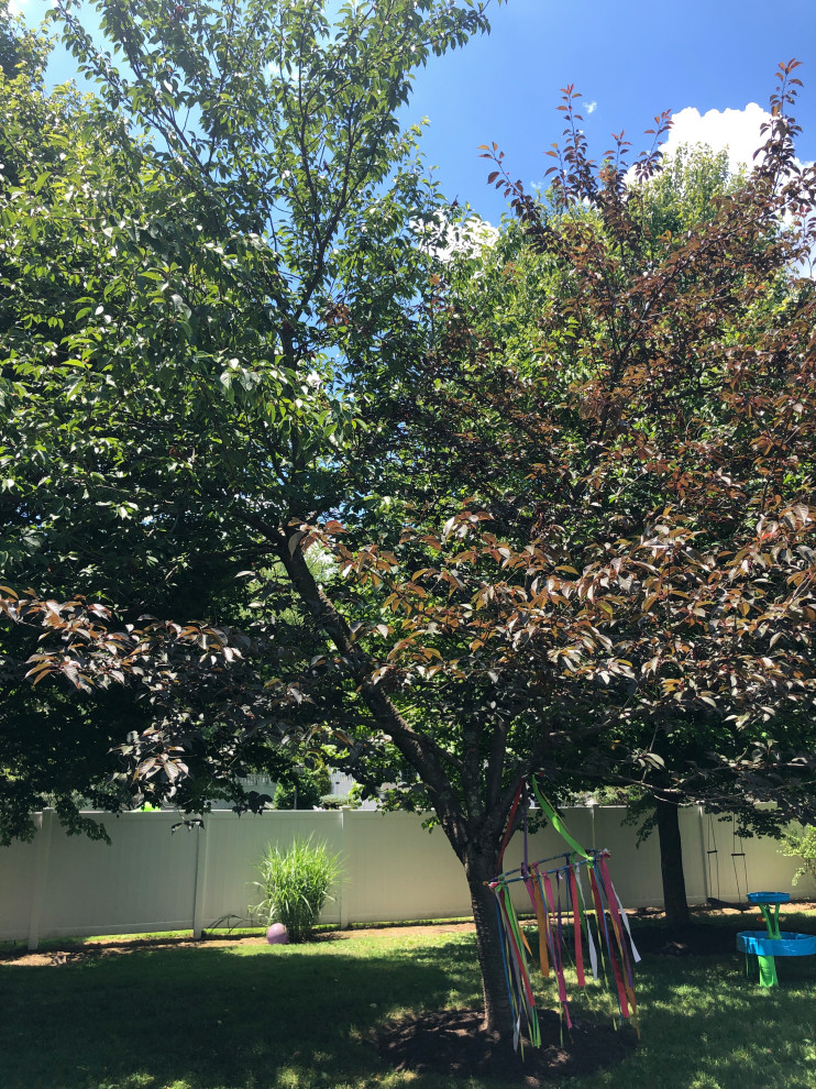 A cross breed tree or is it dying?