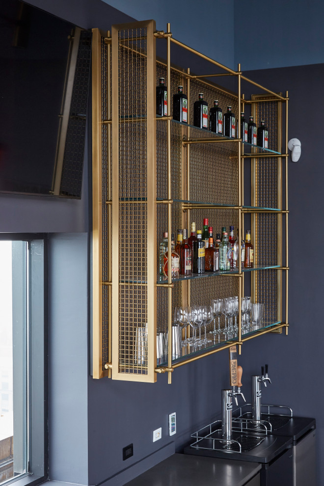 Collector's 2 Bay Wall Hanging Unit with Mesh Surround - Midcentury ...