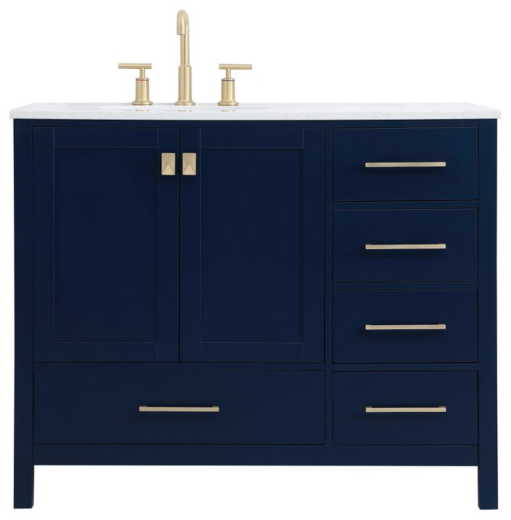 Elegant VF18842BL 42"Single Bathroom Vanity, Blue - Transitional ...