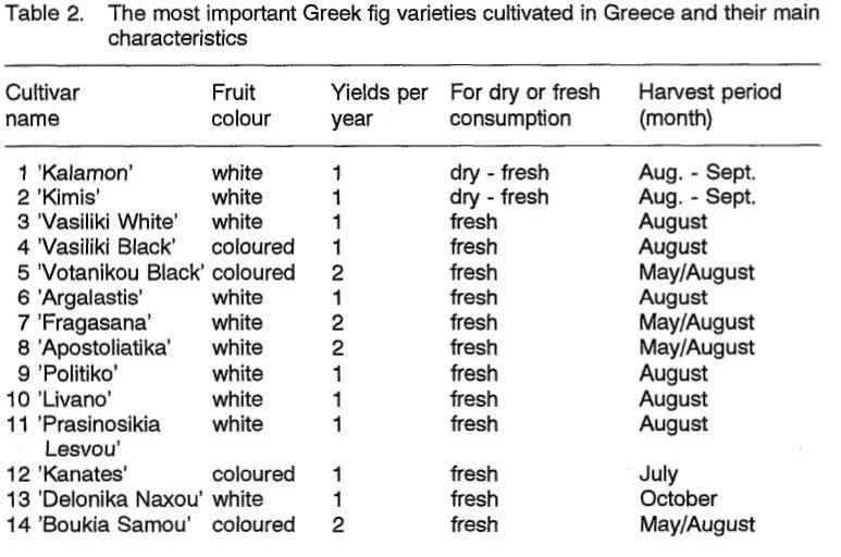 Greek fig varieties