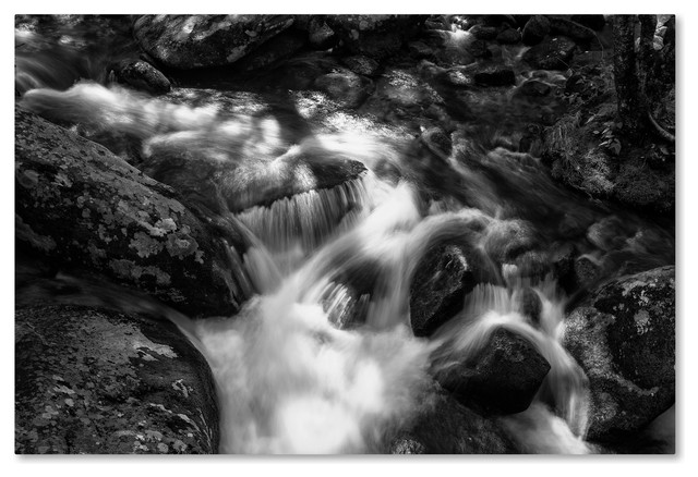 Bob Rouse 'roaring fork rapids BW' Canvas Art, 22"x32" - Rustic ...