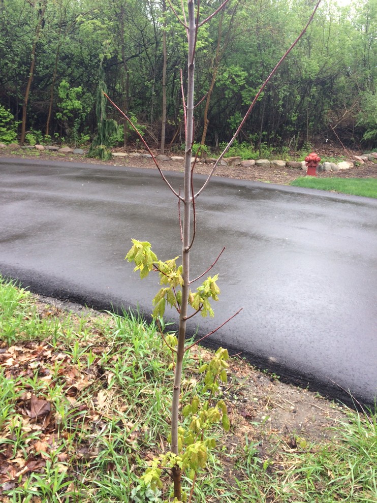 Top half / bottom half