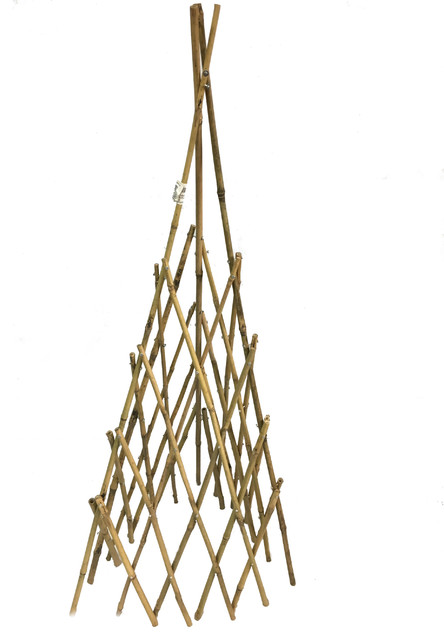 Bamboo Teepee 72" - Asian - Garden Trellises - by Master Garden ...