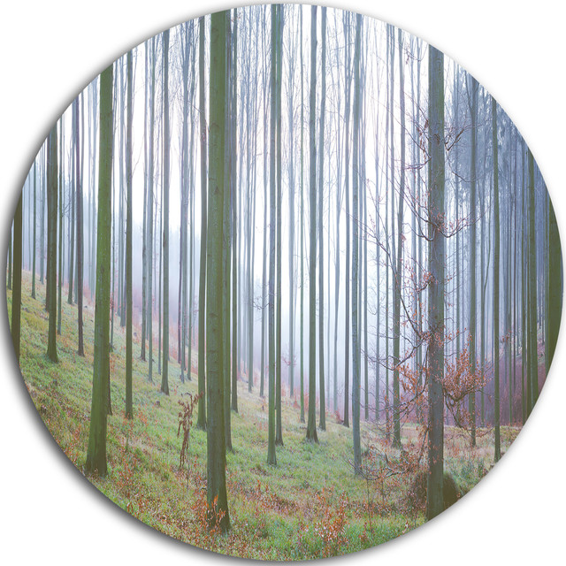 Autumn Tree Trunks Panorama, Forest Round Metal Wall Art, Disc of 23 ...