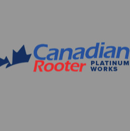 PLATINUM WORKS BY CANADIAN ROOTER - Project Photos & Reviews ...