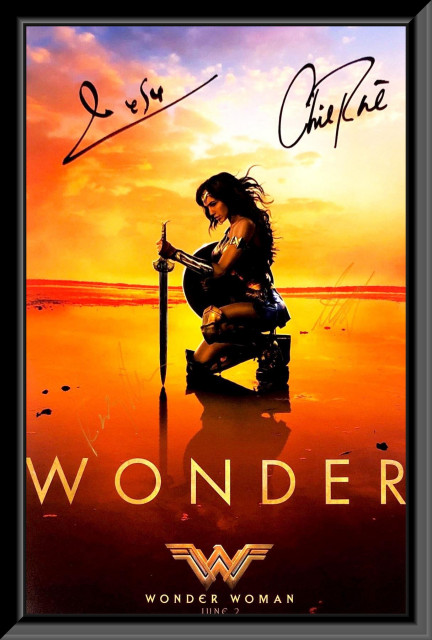 Wonder Woman cast signed movie poster, 27x40 inches - Contemporary ...