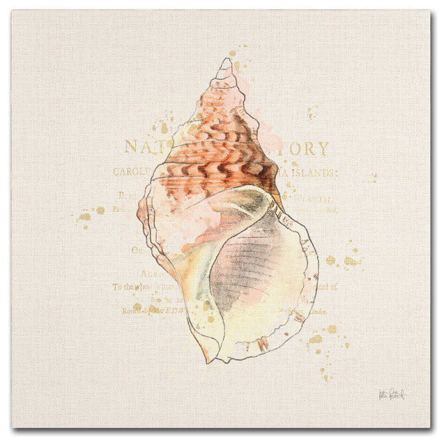 Katie Pertiet 'Shell Collector III' Canvas Art, 18"x 18" - Beach Style ...
