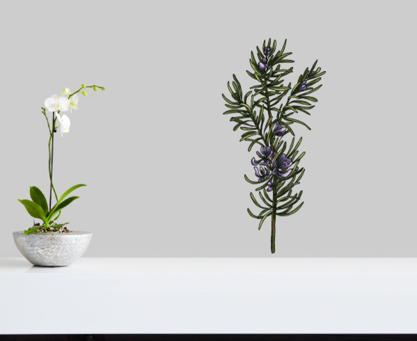 Blossom Branch Vinyl Wall Decal BlossomBranchUScolor004, 8 in ...