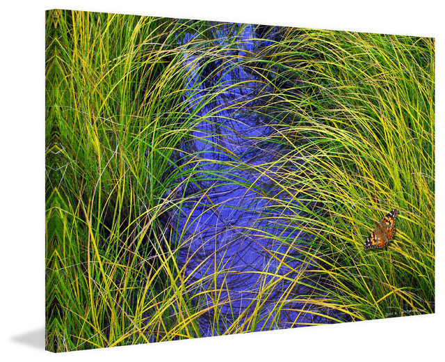 "Grass over the Brook" Print on Canvas by Chris Vest, 45"x30 ...