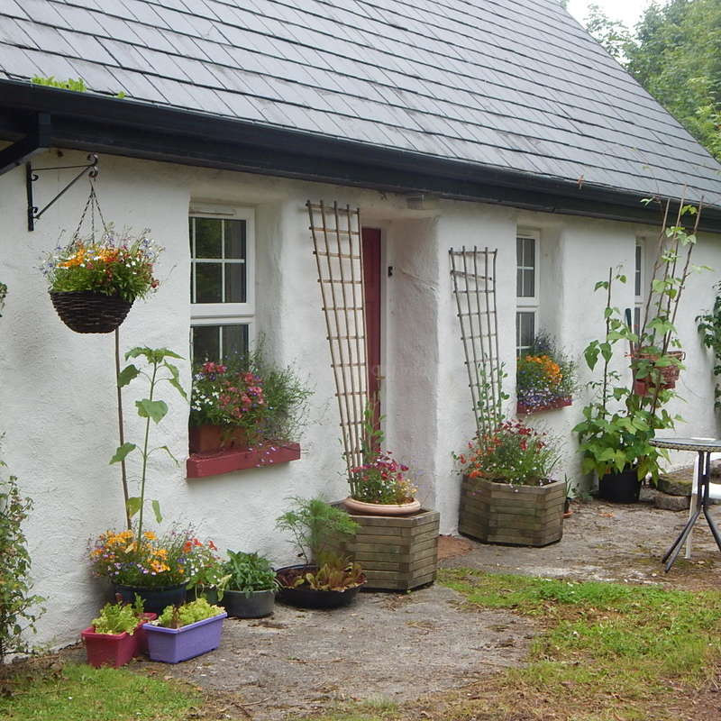What color for an Irish Cottage feel?