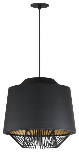 Phoenix LED Pendant, Black / Gold - Industrial - Pendant Lighting - by ...