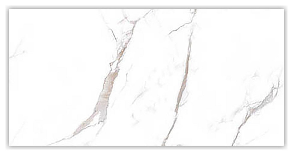Calacatta Bronze Polished 24x48 Porcelain Tile, 24x48 - Contemporary ...