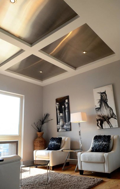 Lexington Stainless steel ceiling - Modern - Living Room - Other - by ...