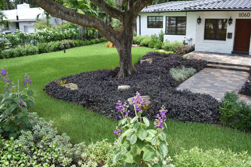 Front Yard Landscaping in Miami - Tropical - Landscape - Miami - by ...