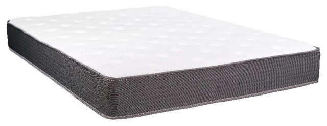 Primo International Equilibria 8in Polyurethane Twin Mattress in White ...