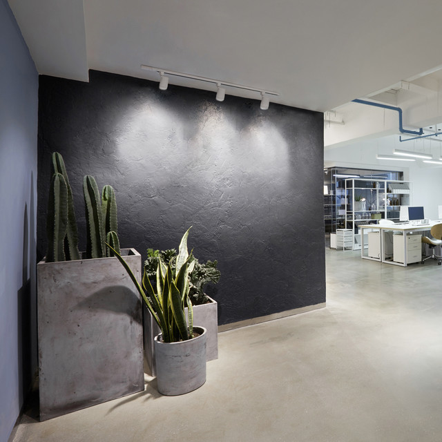 Oculux 3-Light Track Kit, Floating Canopy Feed and 4Ft Track, End Caps ...