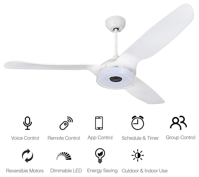 Carro Smart Voice Control Ceiling Fan with Dim LED Light and Remote 10 ...