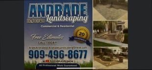 ANDRADE LANDSCAPING & DESIGN INC. - Project Photos & Reviews - San ...
