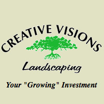 CREATIVE VISIONS LANDSCAPING - Project Photos & Reviews - San Antonio ...