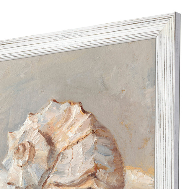 Shell Study Artwork, 4-Piece Set - Beach Style - Prints And Posters ...