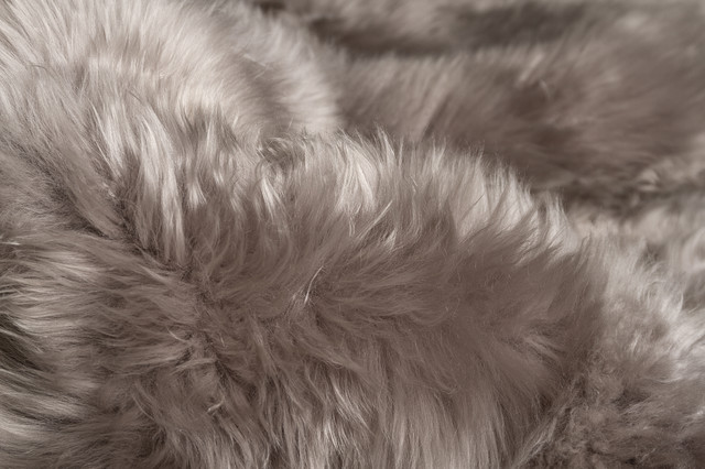 Icelandic Sheepskin Long-Haired Rug, Taupe, 4'x6', 4'x6' - Contemporary ...