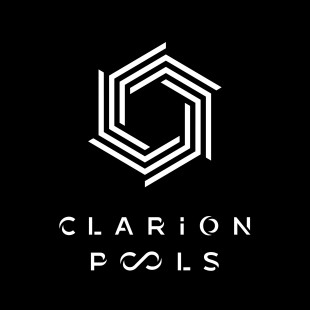 CLARION POOLS TEXAS - Project Photos & Reviews - Houston, TX US | Houzz